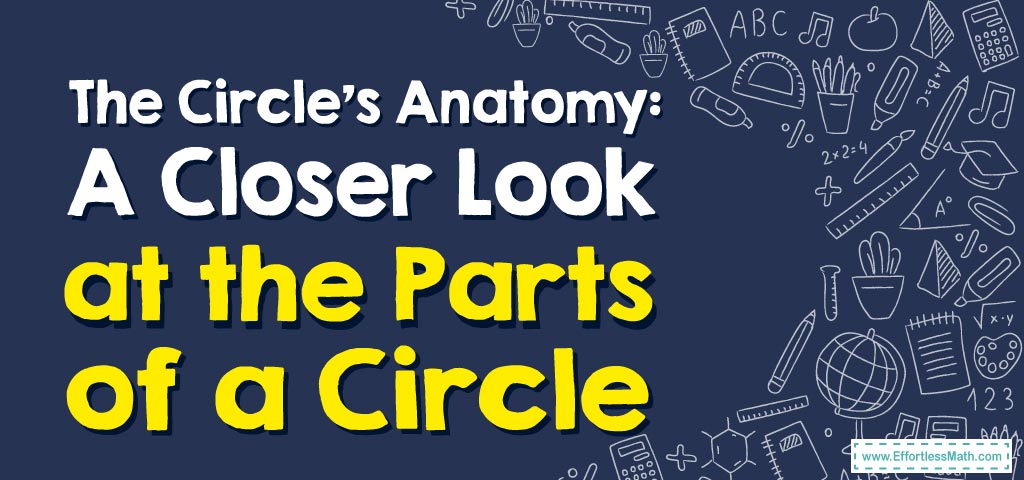 The Circle’s Anatomy: A Closer Look at the Parts of a Circle ...