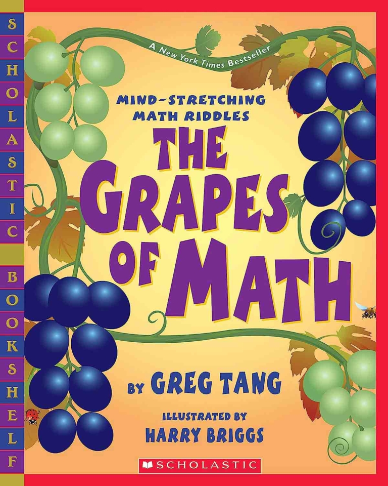Top 10 Math Books for Grade 6 Students: Inspiring Masterminds ...